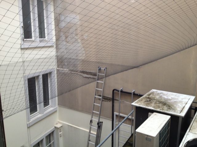 Bird Netting - Pigeon Netting Services Singapore - Anticimex